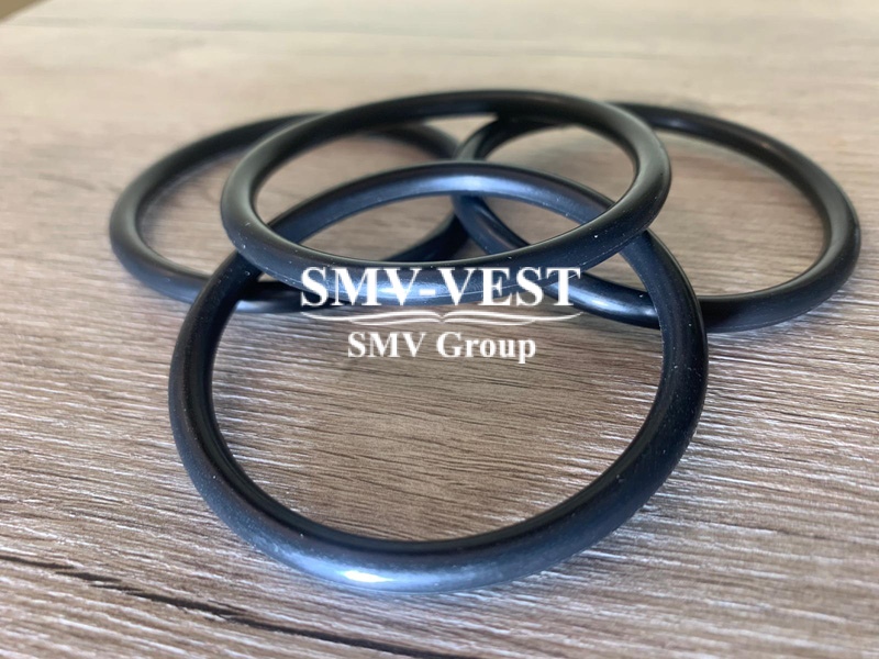 L20 oring 218099 - SMV